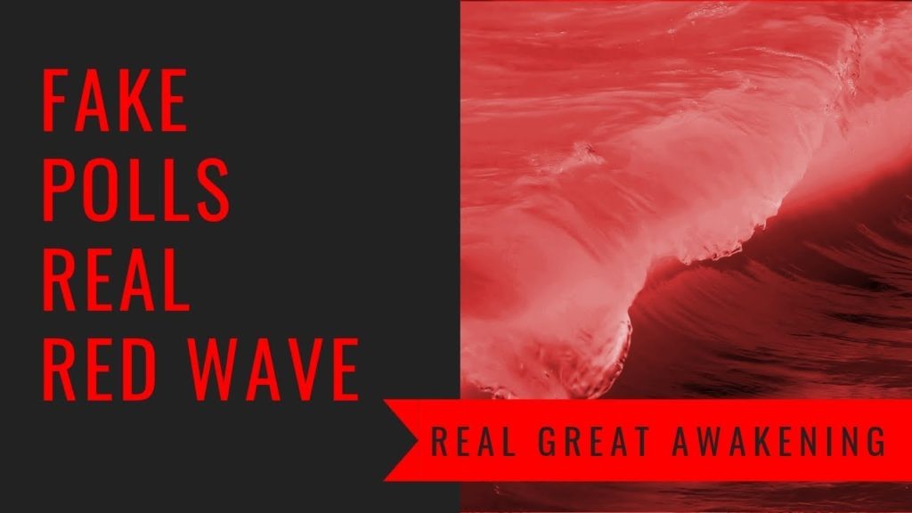 QAnon Believers Melt Down After The Midterm Election ‘Red Tsunami ...